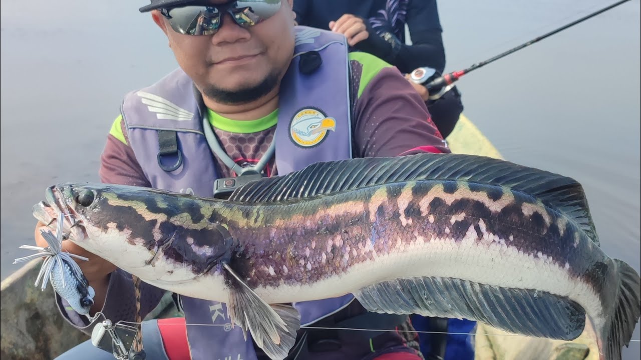 Toman Tasik Bukit Merah sebelum Kering || Aku Sempat gasak Time Galak ...