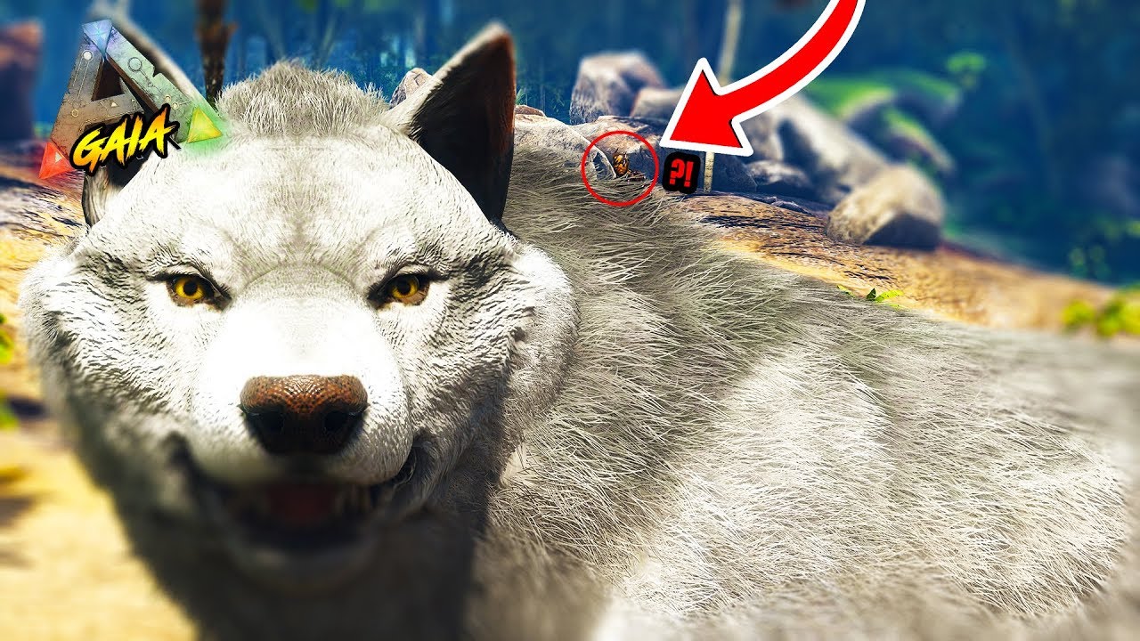 GIGANTISCHE DIRE WOLF TEMMEN?! | ARK Gaia Mods #22 - YouTube
