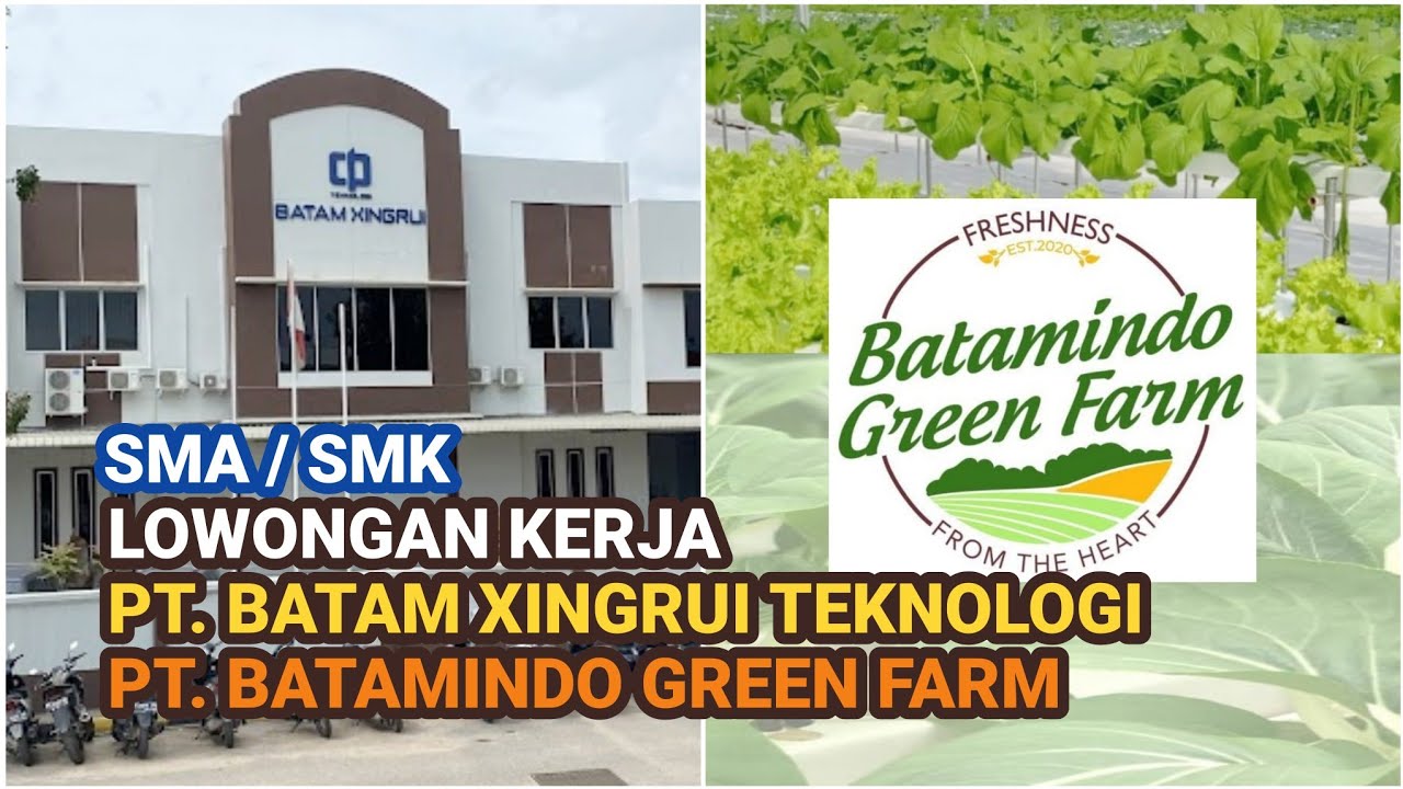 Loker Batam hari ini PT Batam Xingrui Teknologi // Batamindo Green Farm ...