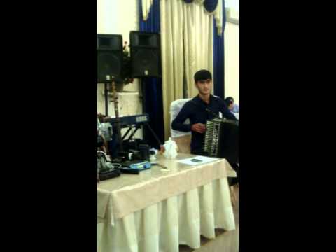 Elnur Salyan (Heyati reqsi Qarmon)