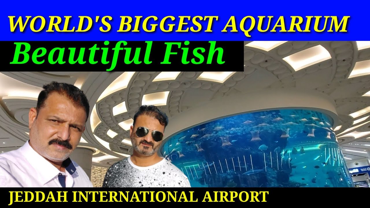 world's Biggest Fish Aquarium | Jeddah international Airport | 2021 ...