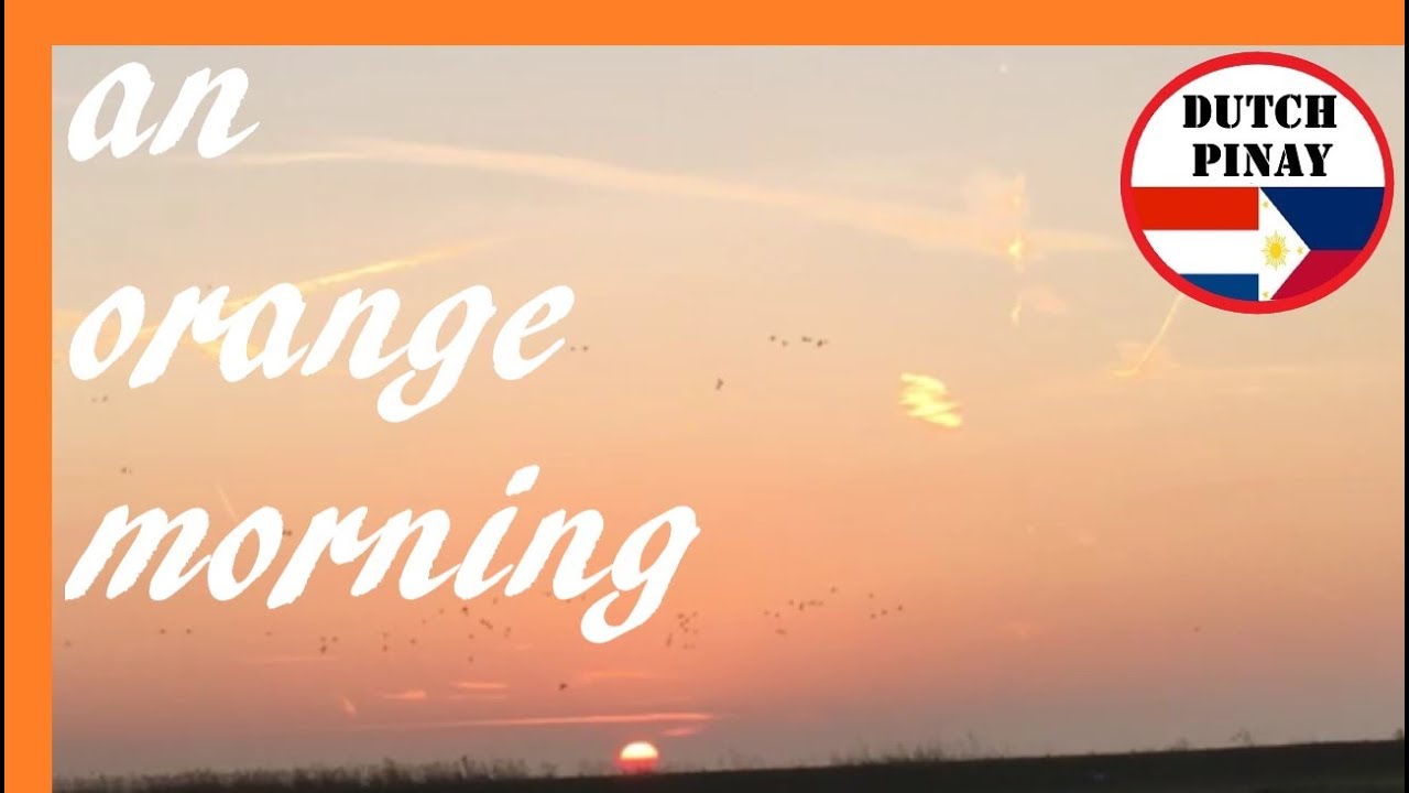 🔴 AN ORANGE MORNING | NATURE | TRAVEL - YouTube