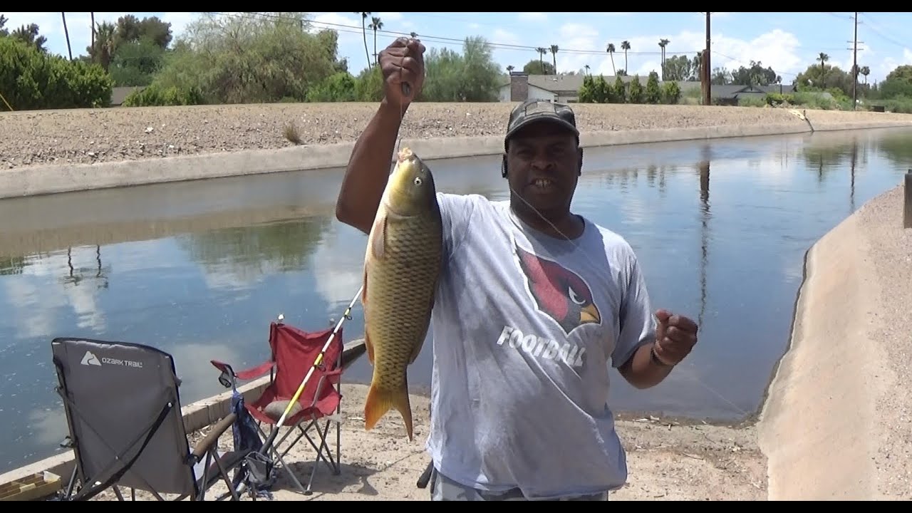 Fishing for COMMON CARP in Phoenix Arizona - YouTube