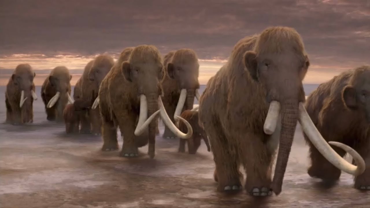 Ice Age Giants Woolly Mammoth Migration Youtube