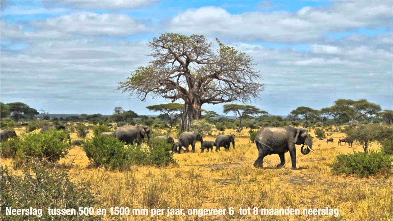 Aardrijkskunde landschapszones - YouTube