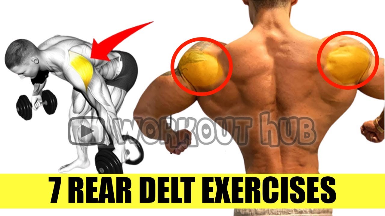Shoulder Workout - BEST 7 Rear Delt Exercises for Strong and Durable ...