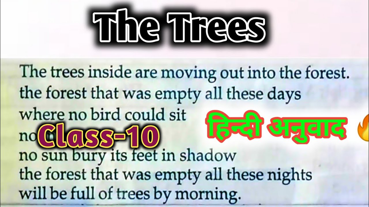"The Trees"Class 10 English Poem | Line by line Explanation | Hindi ...