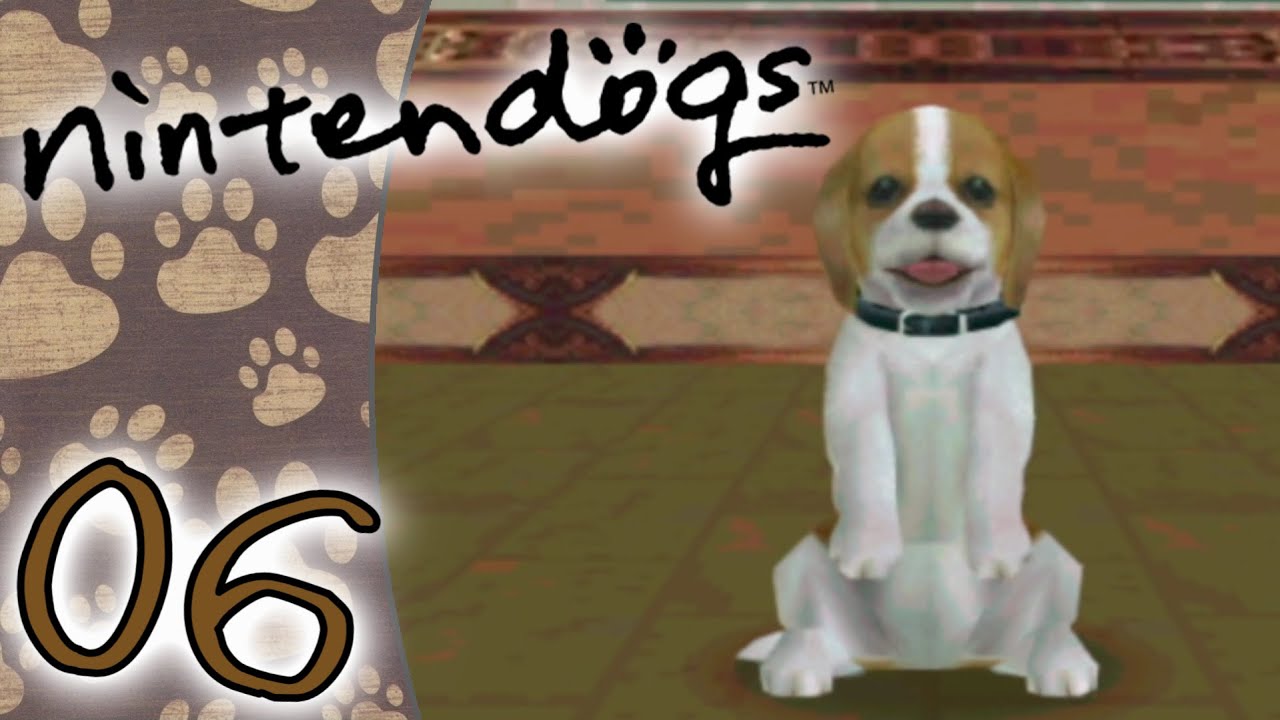 Meisterhafte Tricks! 🐶 Let's Play NINTENDOGS #06 - YouTube