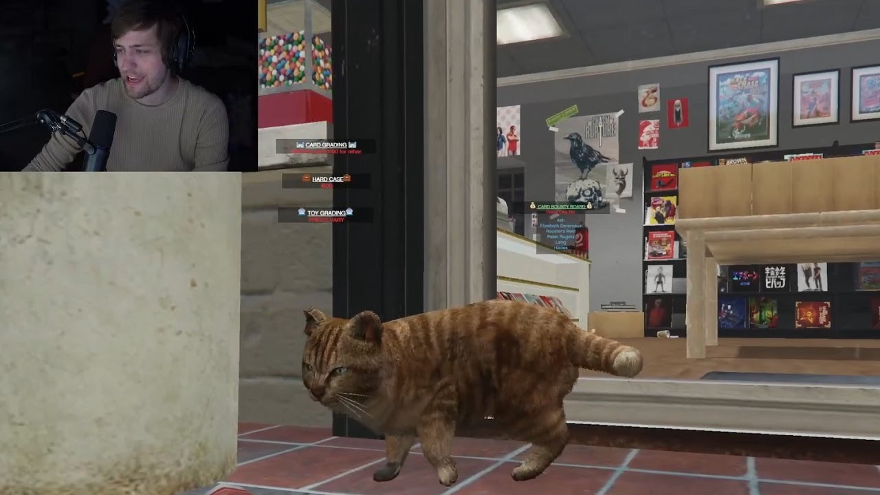 Cat RP On Point | NoPixel - YouTube