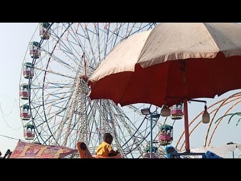 🔴 live Mangrol ka mela At- Mangrol - YouTube