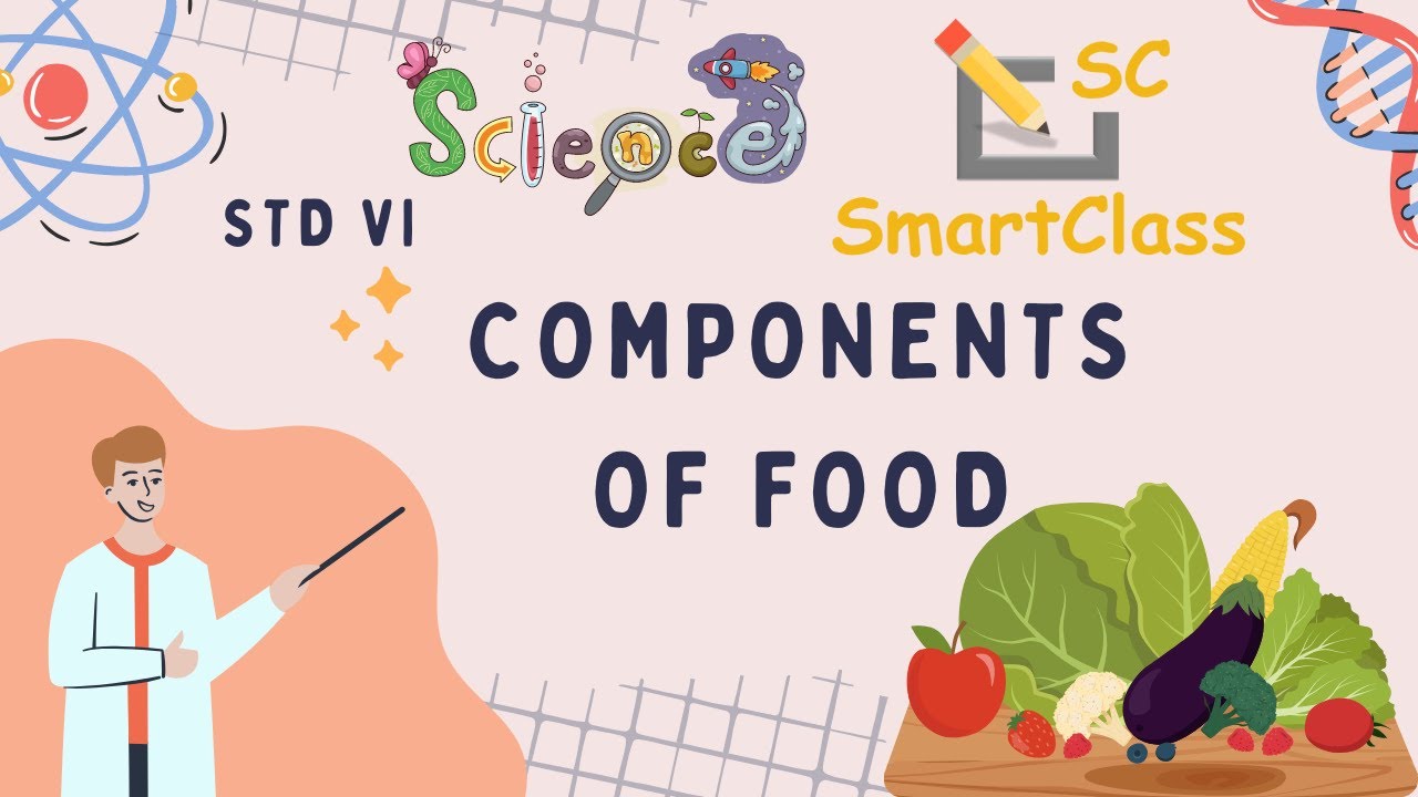 Components of Food CBSE Class 6 Science - YouTube