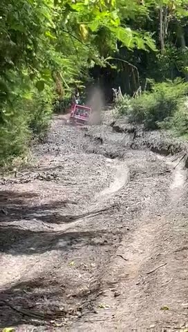 Buggy familiar Bufeo, Puerto plata rep.dom. - YouTube