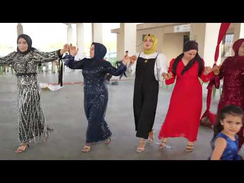 Olcay & Mustafa / KınaTöreni 1. Bölüm / Grup ŞİLE / ARABAN Düğünleri