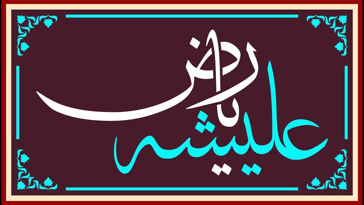 Mastering Kelk 2010 Calligraphy: Unveiling the Basics | Skills Tube ...