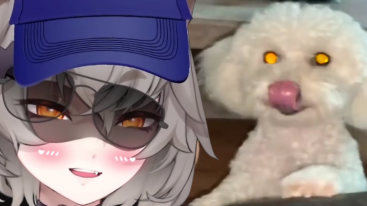 Among US Impostor Dog - YouTube