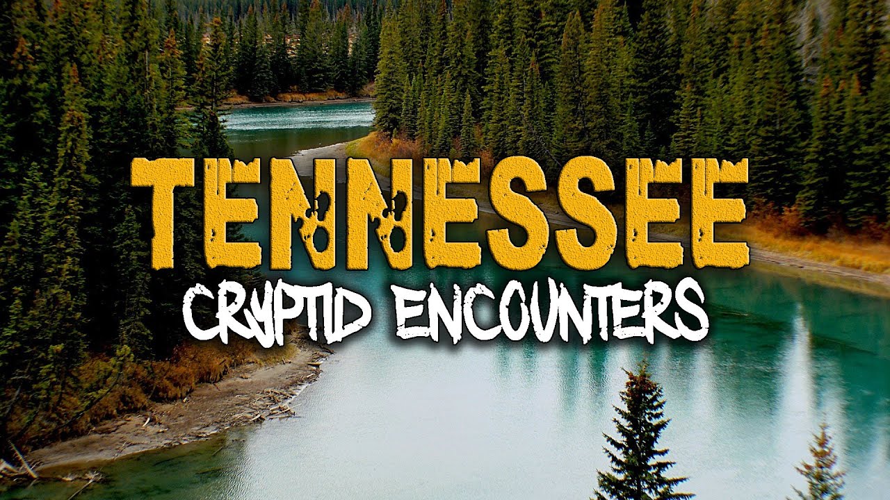 6 Absolutely INSANE Cryptid Encounters From TENNESSEE - YouTube