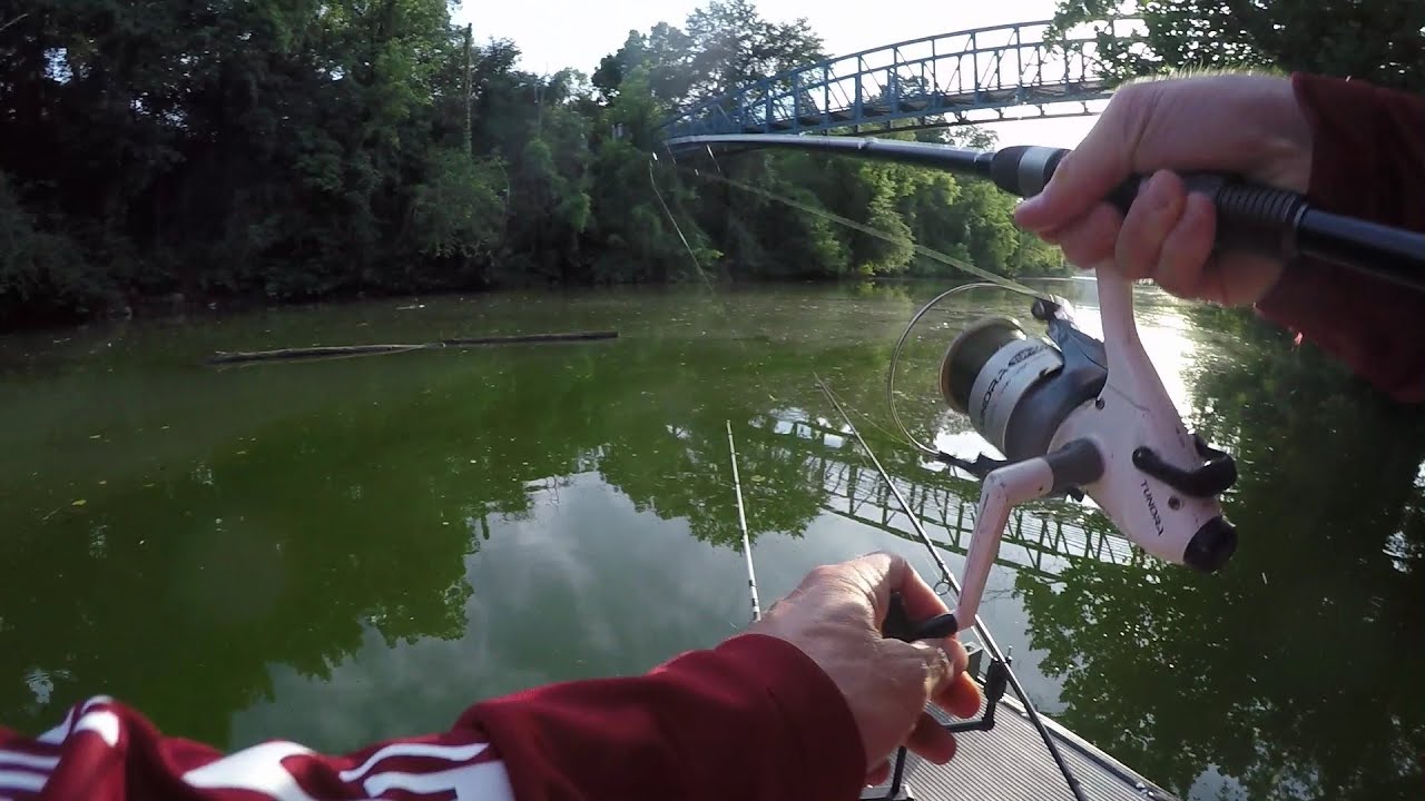 The Next Best Thing To Catfishing - YouTube
