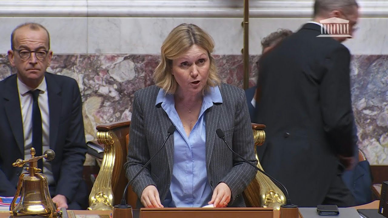 Budget: l'Assemblée adopte le budget de l'Etat | AFP Extrait - YouTube