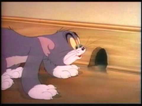 Tom ve Jerry Arkadaşları İzle Part 1
