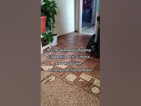 ПЁС МАКС - YouTube