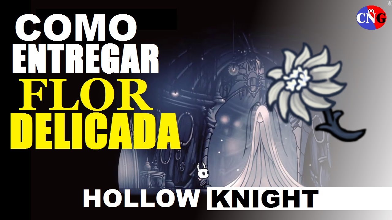Flor Delicada Hollow Knight - Como entregar a FLOR DELICADA - YouTube