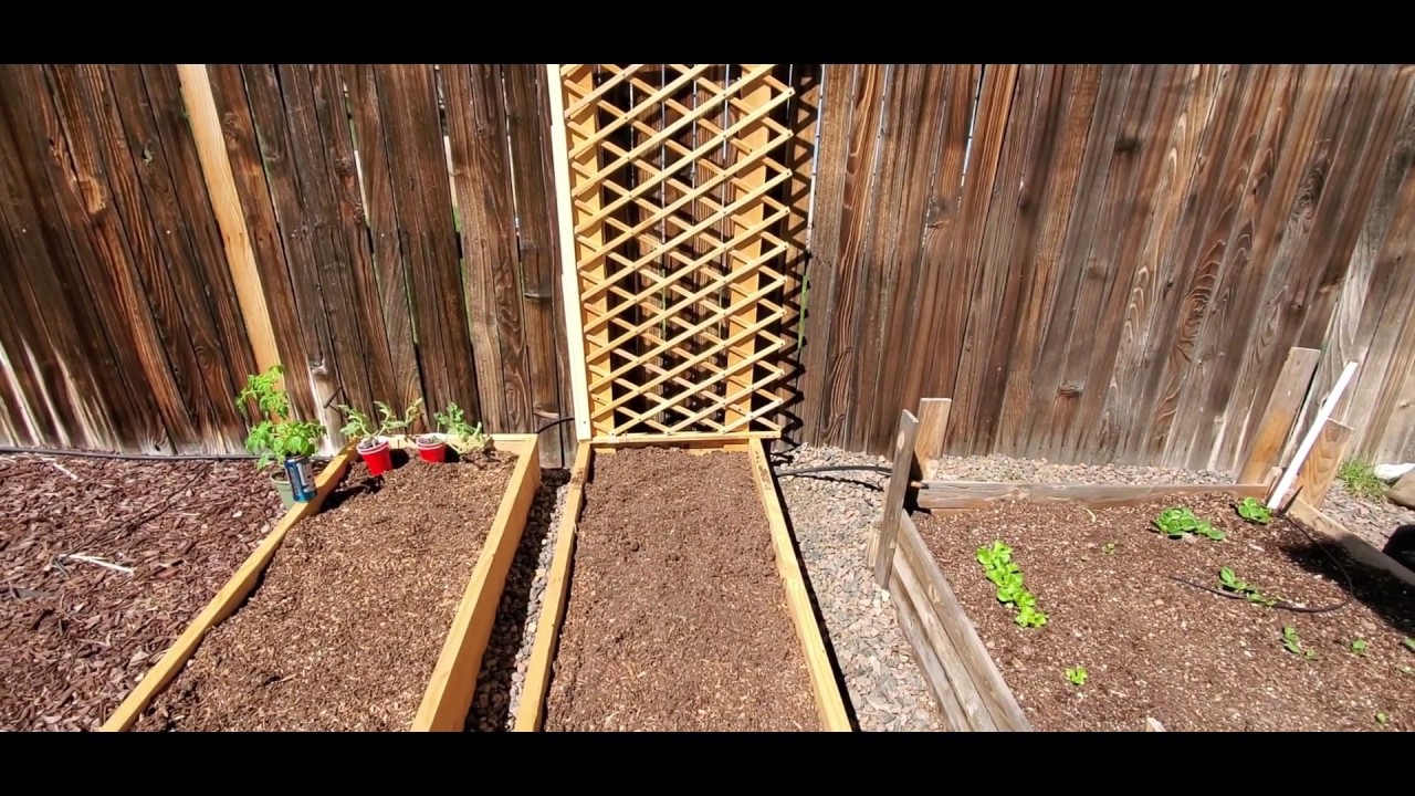 How to Make a DIY Trellis from a Baby Gate - YouTube
