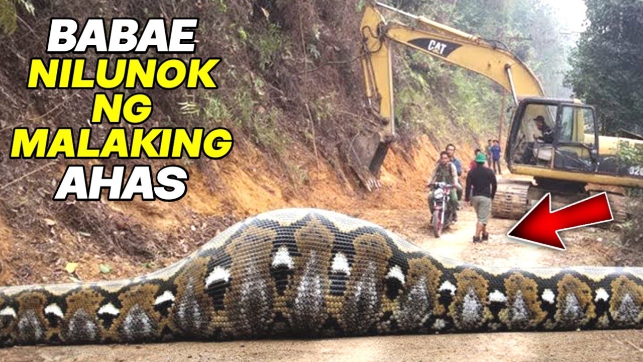BABAE SA INDONESIA KINAIN NG DAMBUHALANG AHAS with ACTUAL VIDEO - YouTube