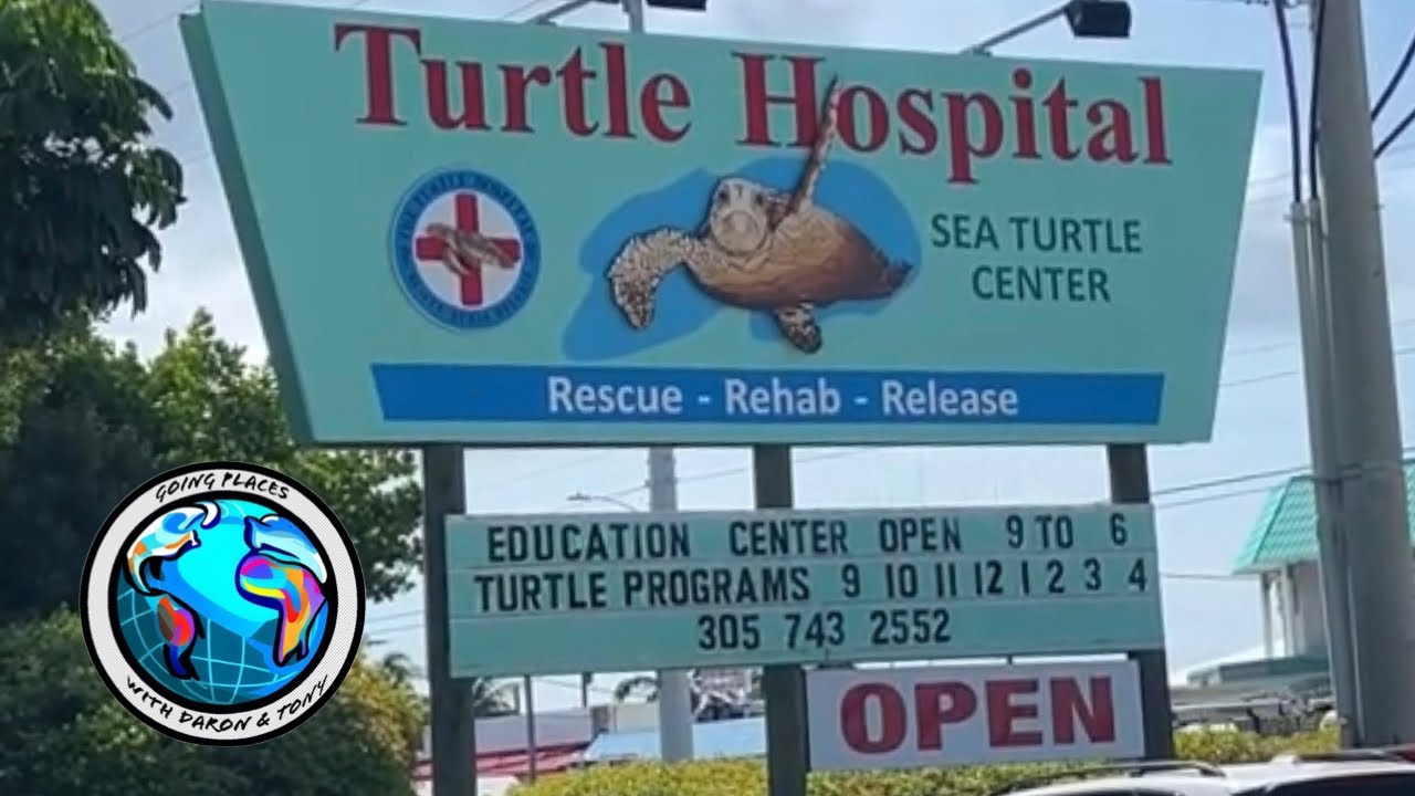 Turtle Hospital in The Florida Keys Rescue Rehab & Release - YouTube