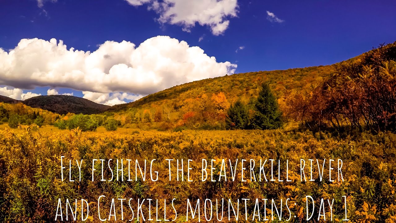 Fly Fishing Beaverkill River and Catskill Mountains: Day 1 - YouTube