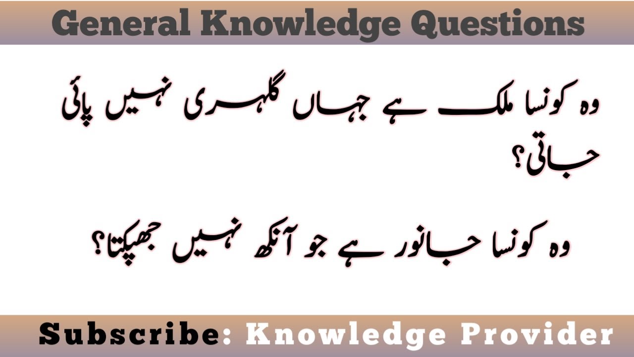 Which Animal Do Not Blink Their Eyes General Knowledge In Urdu Hindi 2020 YouTube which-animal-do-not-blink-their-eyes-general-knowledge-in-urdu-hindi-2020-youtube