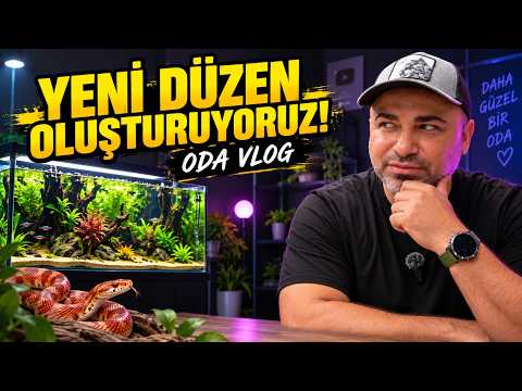 Yeni Düzen Kuruyoruz! Akvaryumlar ve Canlılarda Son Durum | Oda Vlog