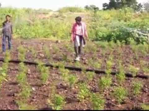 Chanagonda video kollma new 2017