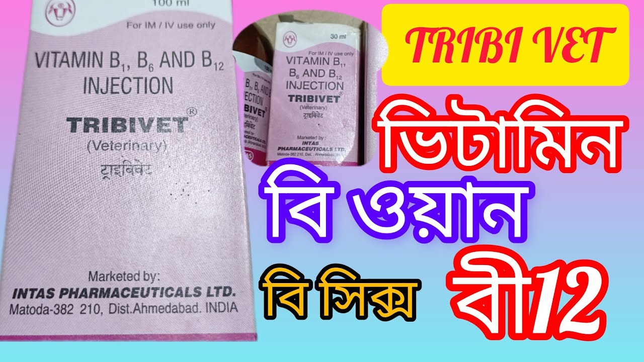 TRIBI VET ইঞ্জেকশন মাল্টি ভিটামিন ভিটামিন B1B6 B12 কোন রোগে ব্যবহার ...