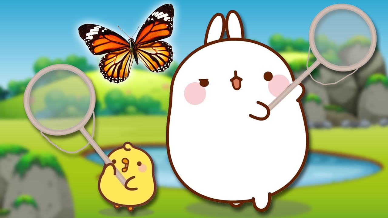 Molang | Butterfly🦋 | Season 1| Cartoons For Kids | Cartoon Crush - YouTube