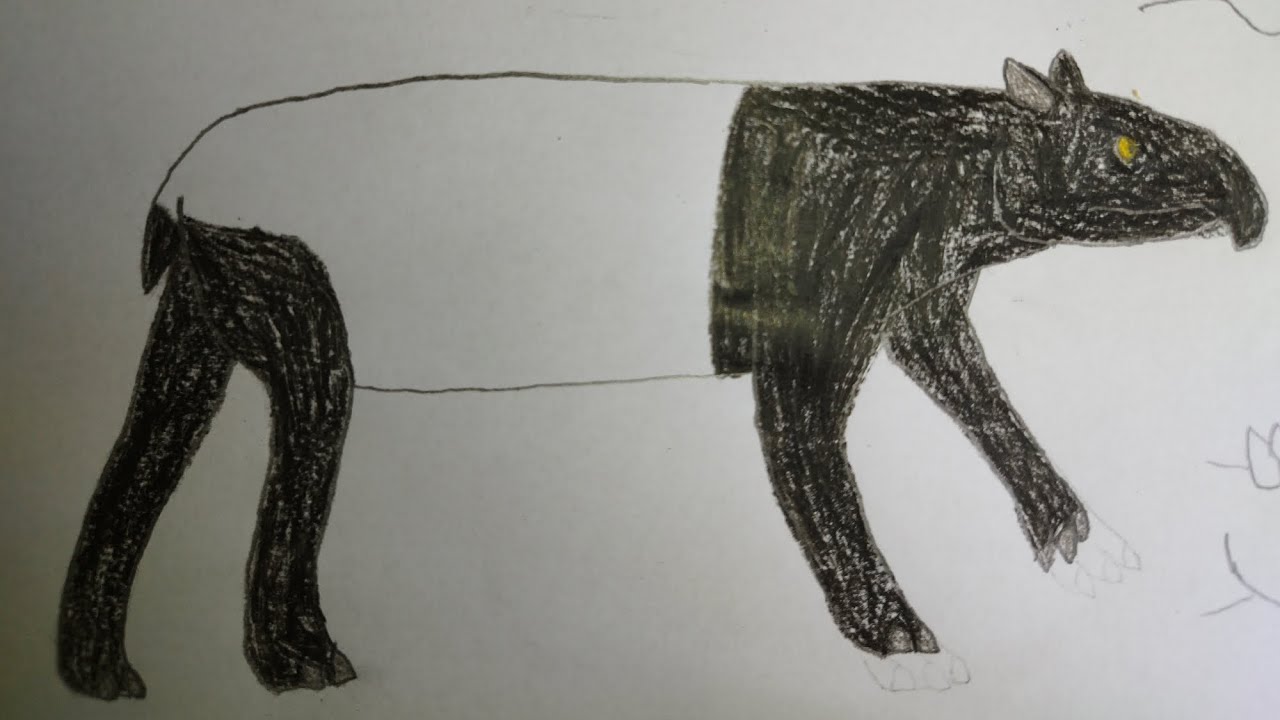 Sound Effects-Malayan Tapir - YouTube