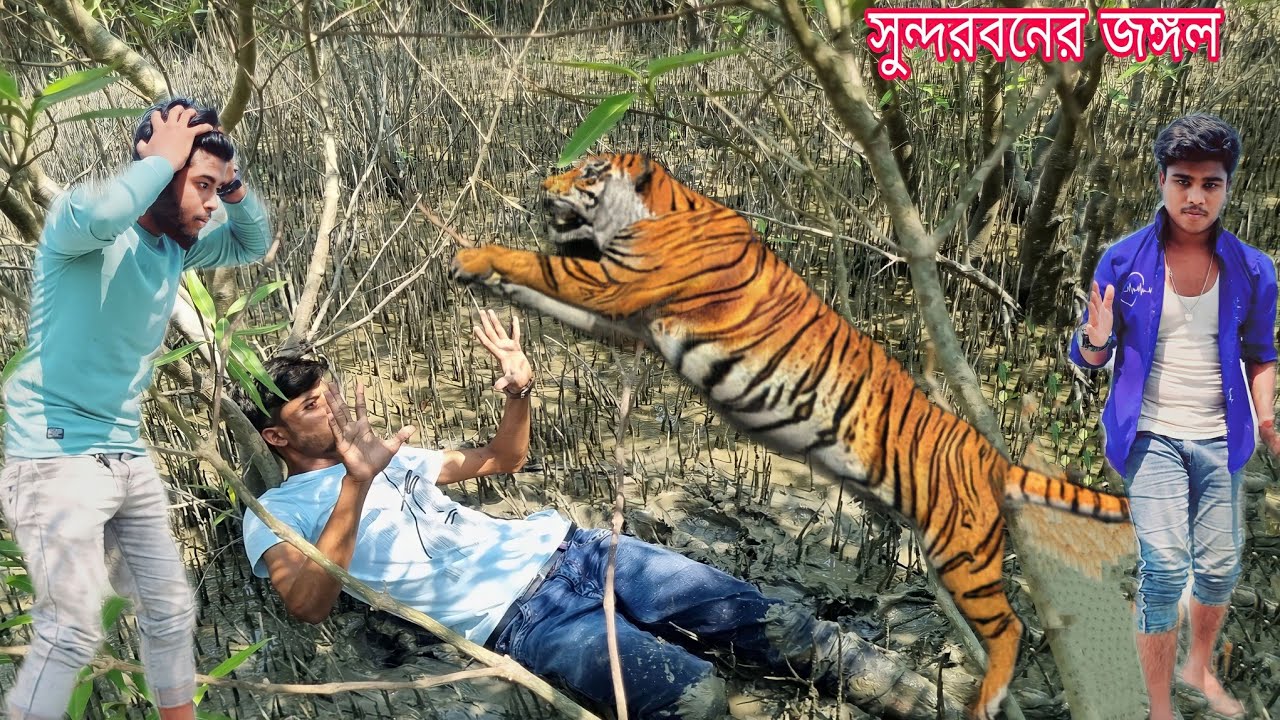 সুন্দরবন জঙ্গলে তিন বন্ধু||এক বন্ধু বাঘের কবলে!(SUNDARBAN VLOG TRAVEL ...