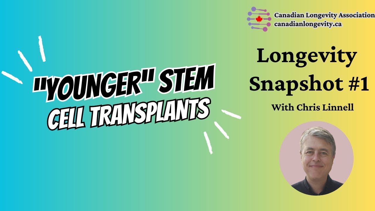 Longevity Snapshot 1 - Younger Stem Cell Transplants - YouTube
