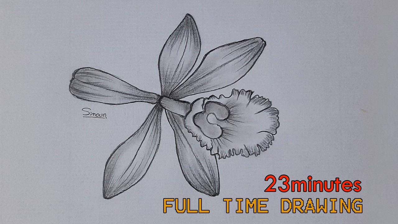 23minutes Real-time drawing | How to draw Vanilla Flower step by step ...