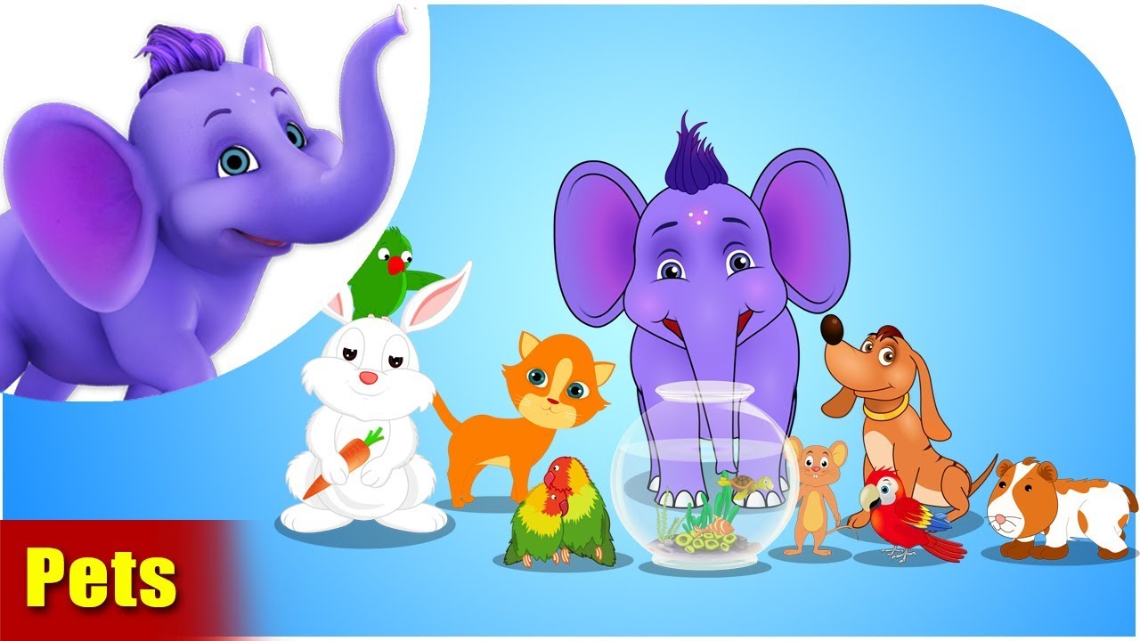 Pets | Learning song for Kids | 4K | Appu Series - YouTube
