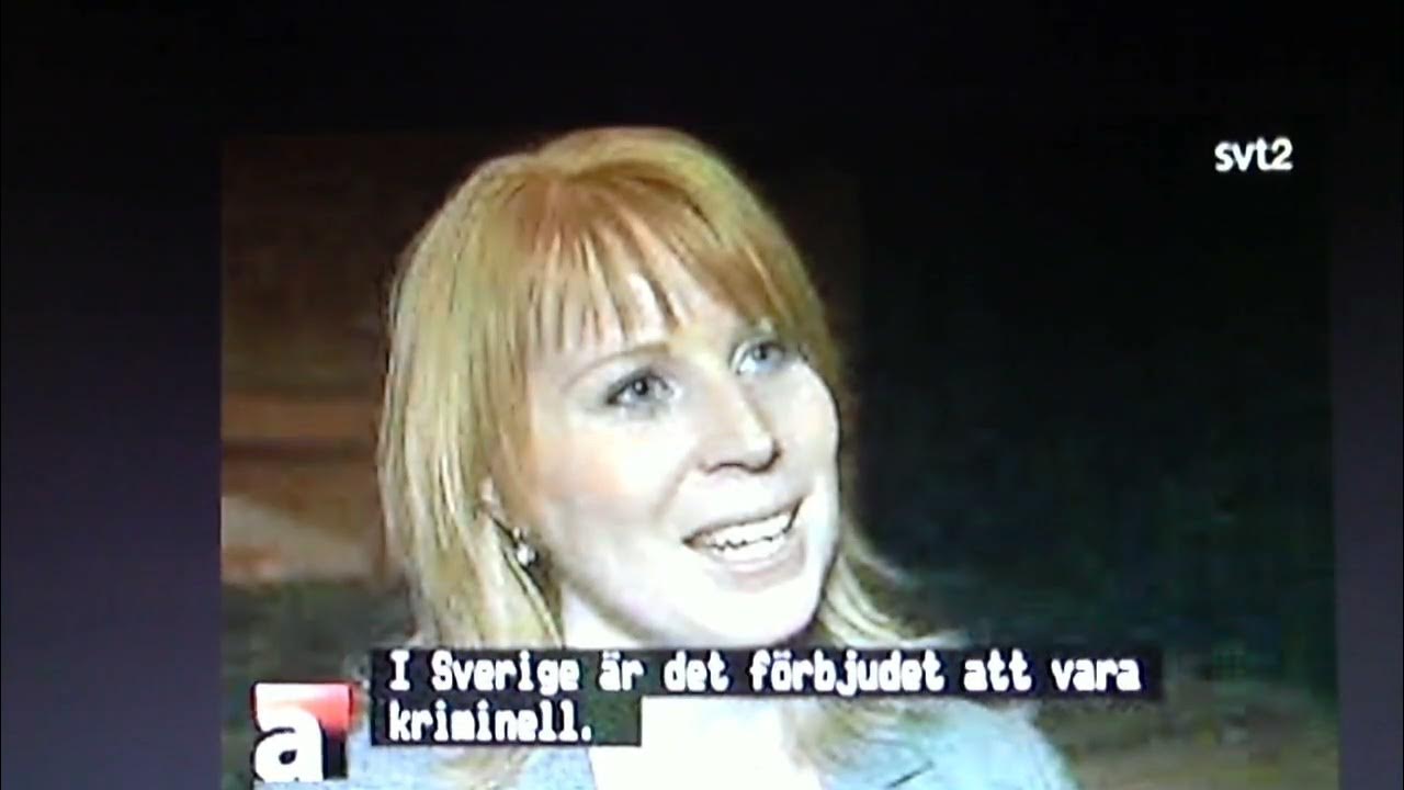 Annie Lööf I Sverige är det olagligt att vara kriminell - YouTube