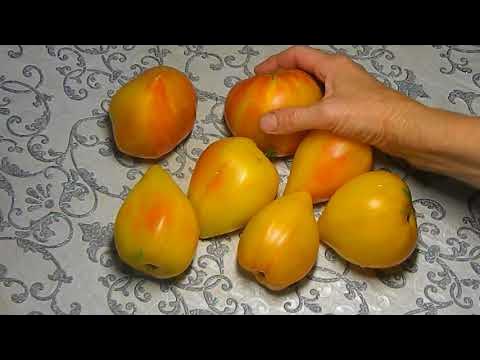 Томат Сердце Зебры. Тест спелых плодов. - YouTube