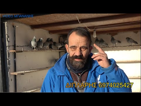 ΑΥΤΟΣ ΑΝΟΙΞΕ ΤΗΝ ΑΥΛΑΙΑ ΤΗΣ ΠΤΟΛΕΜΑΙΔΑΣ ΔΙΠΛΑΡΗΣ 2024-25 - YouTube