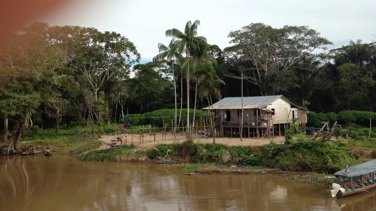 River Village House. Amazonas Brazil - YouTube
