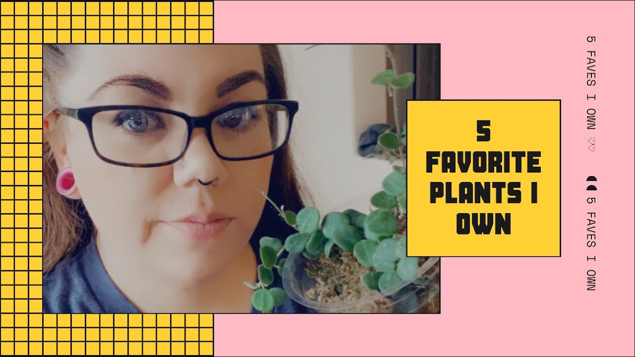 Top 5 Favorites In My Collection!! - YouTube