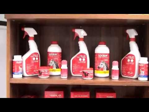 Video Corporativo Laboratorios Alcames - YouTube