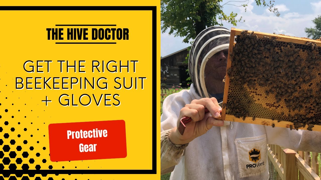 Full Beekeeping Suit & Gloves//Full Coverage Suit of Armor//Protective Gear for Beekeepers - YouTube
