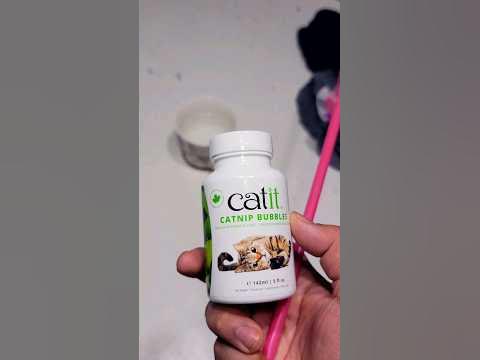 catnip bubbles got my cat high#funny #funnycats #catlover #catshorts #cat #shorts #catvideos # ...