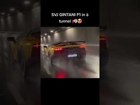 Snap Crackle and Pop!  | #gintani #lamborghini #aventadorsvj