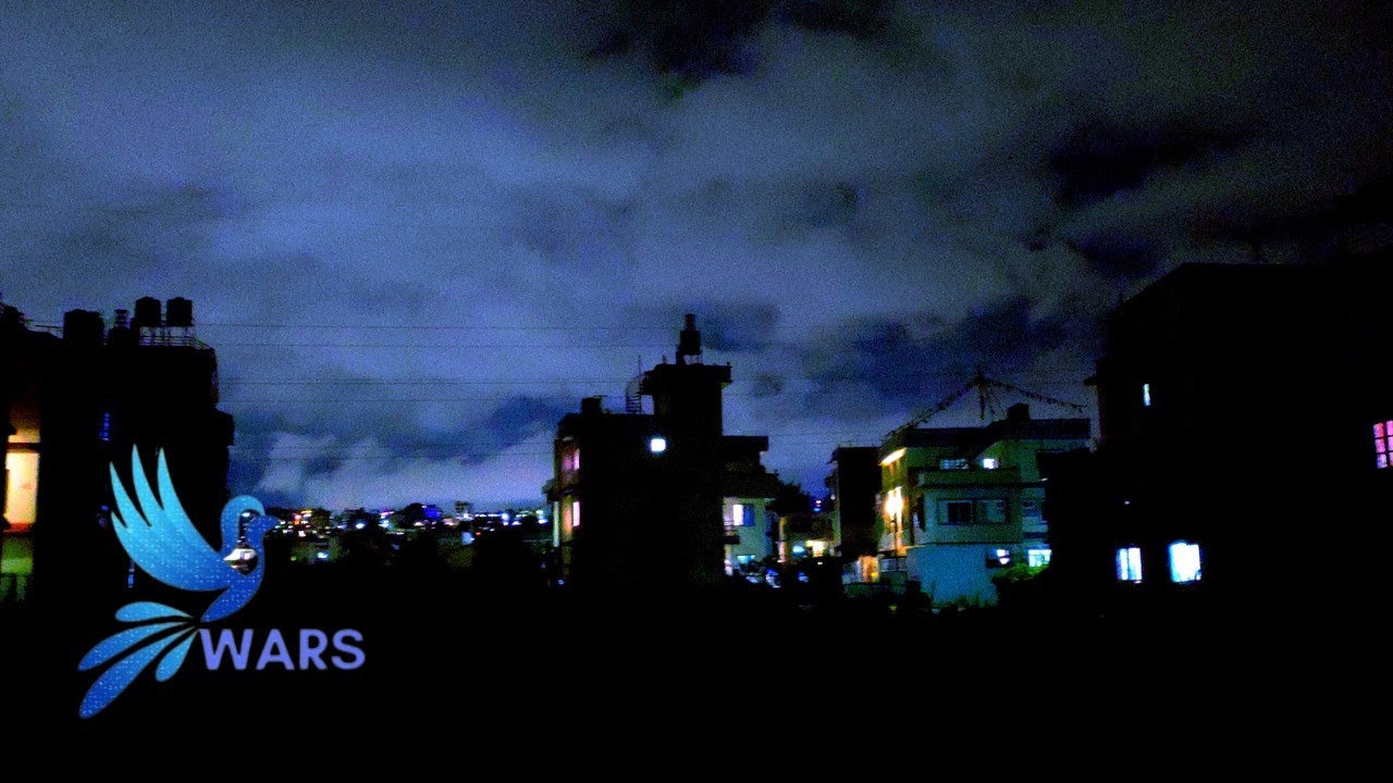 30 Munites Night Sounds Cricket Swamp Sounds At Night Sleep And ...