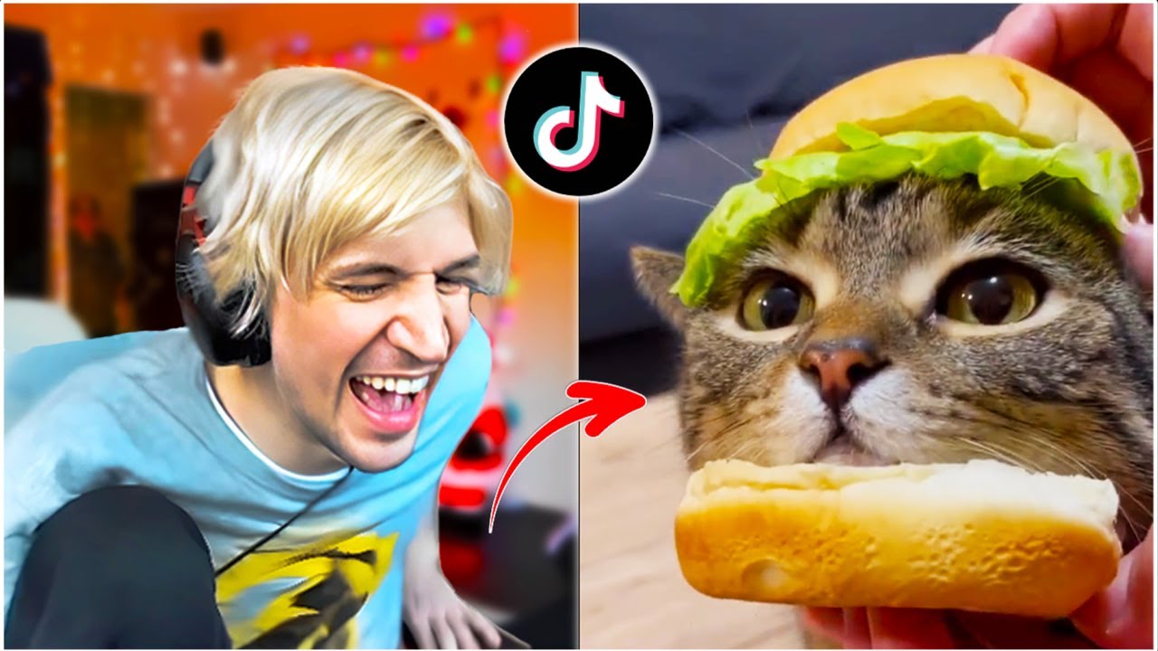 ACTUALLY FUNNY TIKTOKS - YouTube